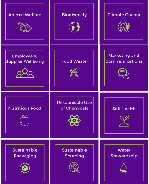 Healthcare Delivery Systems Decarbonization Framework - NYU Stern